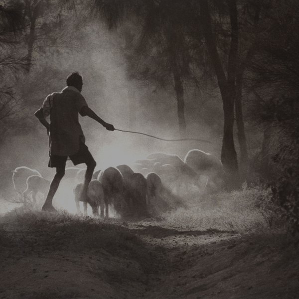 Rajagopal Chakravarthy | FIAP